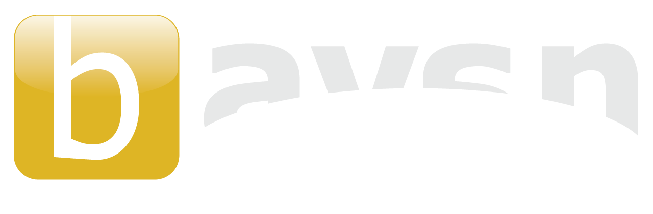 Bayan - HR Management System - Sky Software